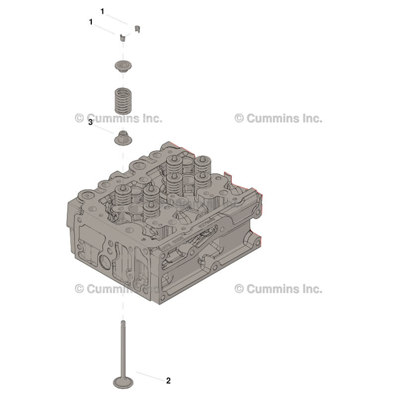 Cummins B series intake valve (kit) - Talleres Nasio