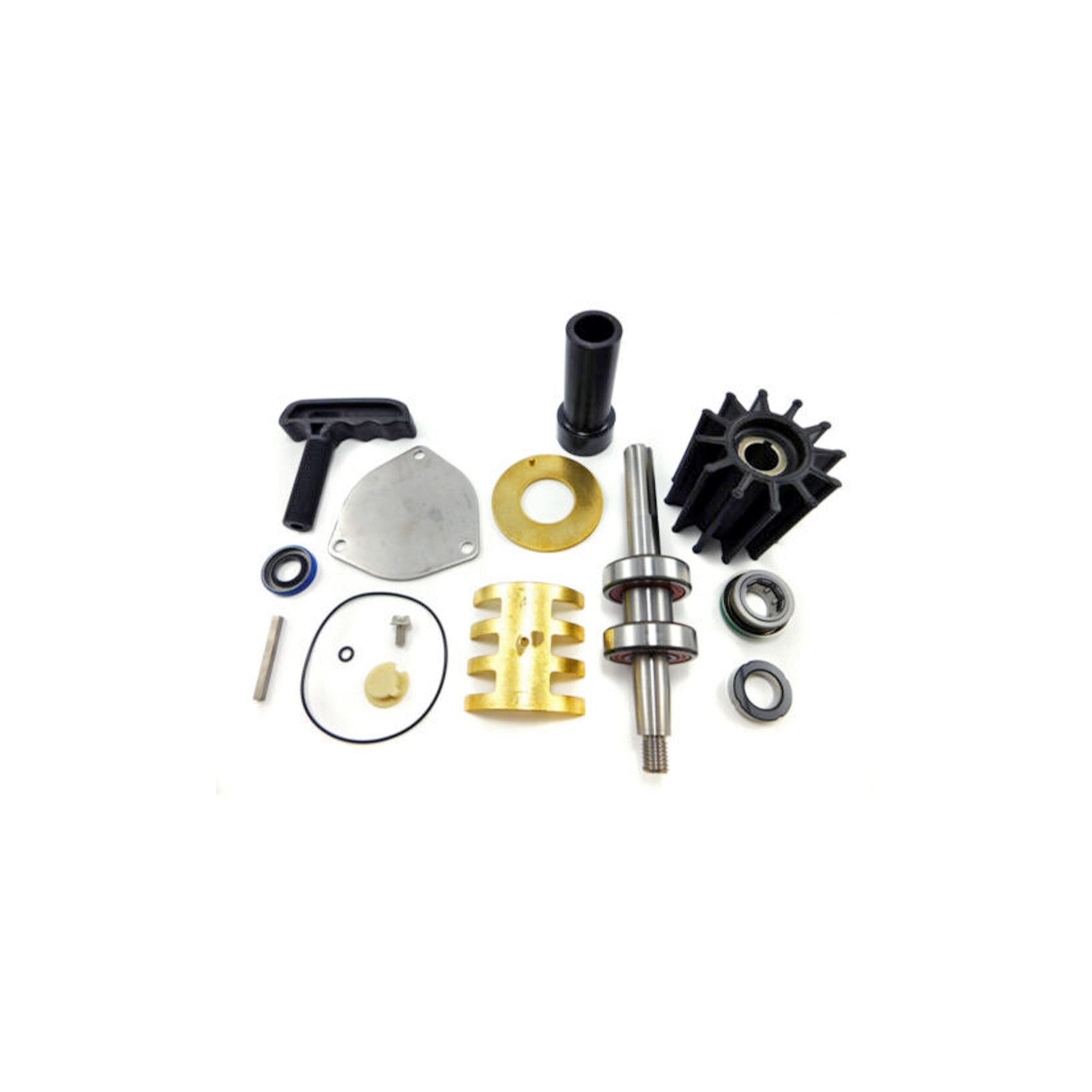 Sherwood P1730 salt water pump major repair kit - Talleres Nasio