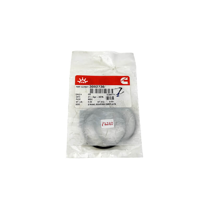 Cummins QST30 series injector pump bearing toric - Talleres Nasio