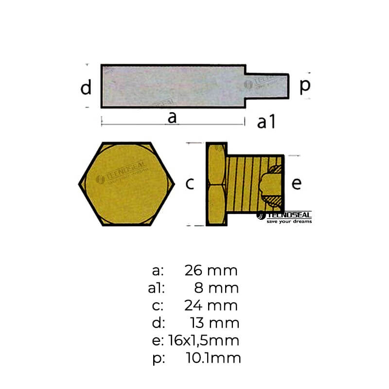 Anode with plug series 8361 zinc cooler Iveco/Aifo - Talleres Nasio
